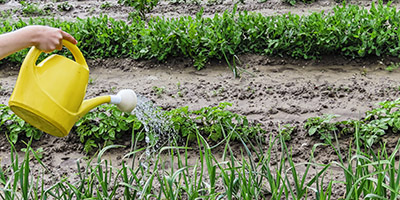 News - Washington Water