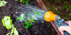 Latest News - Washington Water